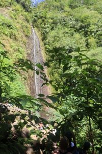 Manoa Falls Hike: A Complete Guide to Hiking to the 150 Foot Waterfall
