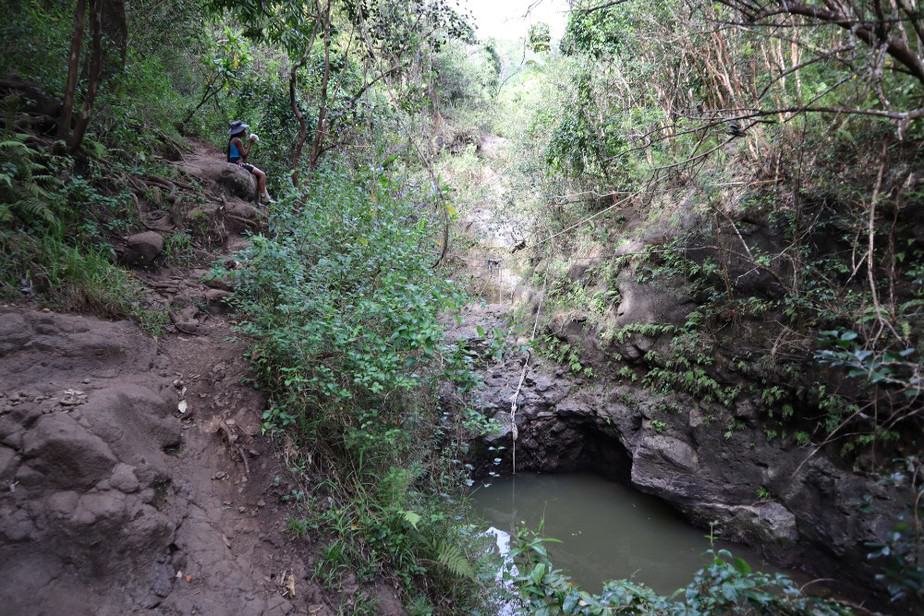 Waimano Falls: Everything You Need to Know About the Hike