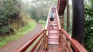 4 Best Kauai Zipline Tours (Tried & Tested)